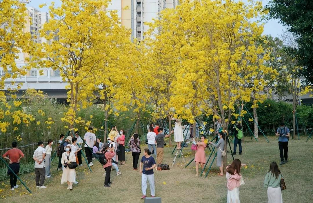 Guangzhou Modisha Park - iNEWS