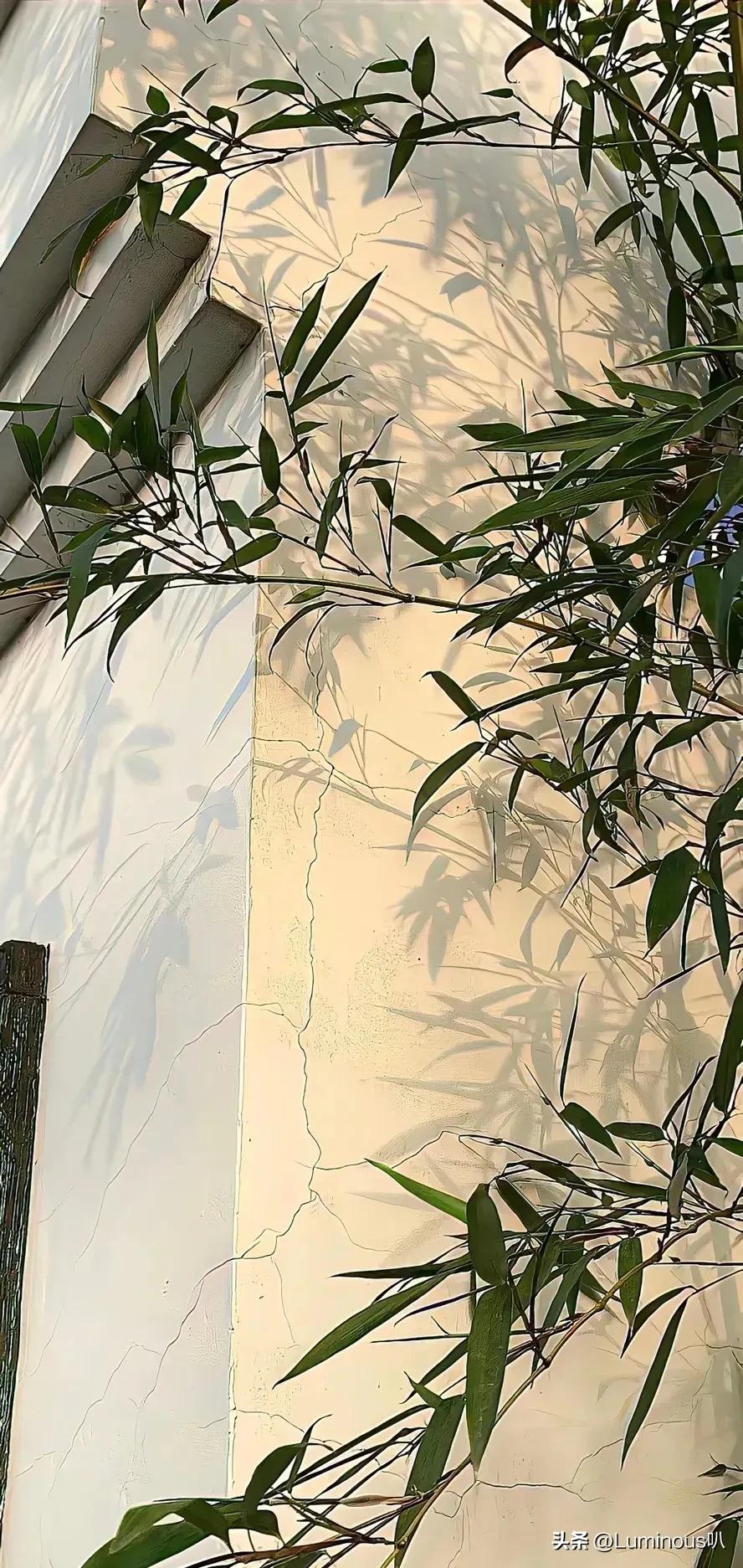 Private collection of niche wallpaper super love - iNEWS