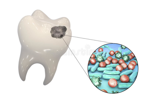 Long life, tooth prophet? How many teeth are normal for a 60-year-old ...
