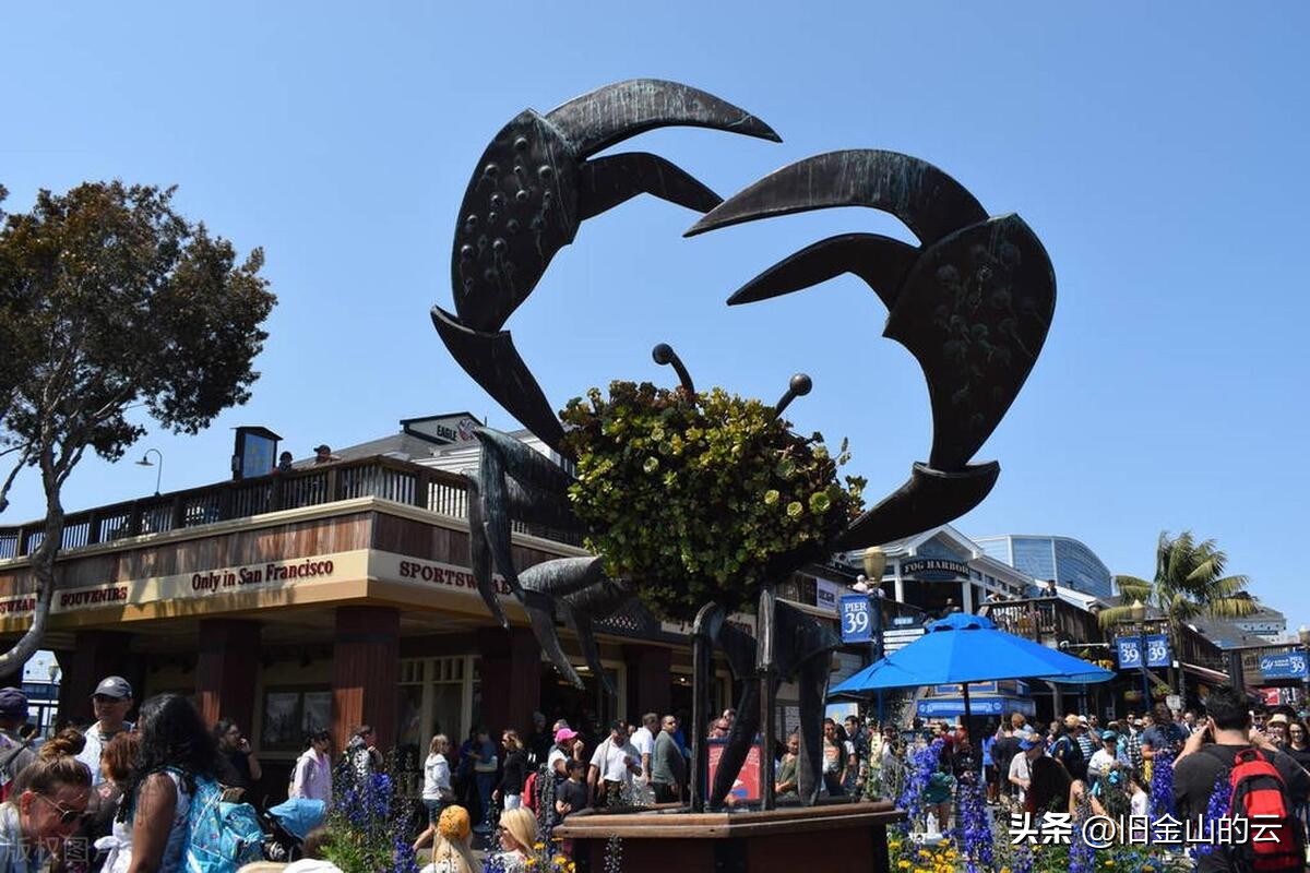 San Francisco photographer releases exclusive photos, revealing the ...