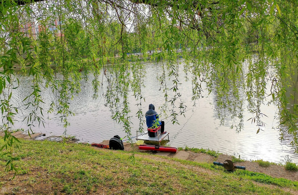 Poems Written in Spring (New Rhyme)——Wang Ping, Gansu - iMedia