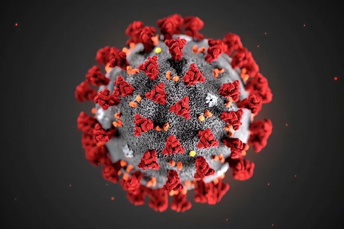 Why do viruses attack humans? Are all viruses harmful? - iMedia
