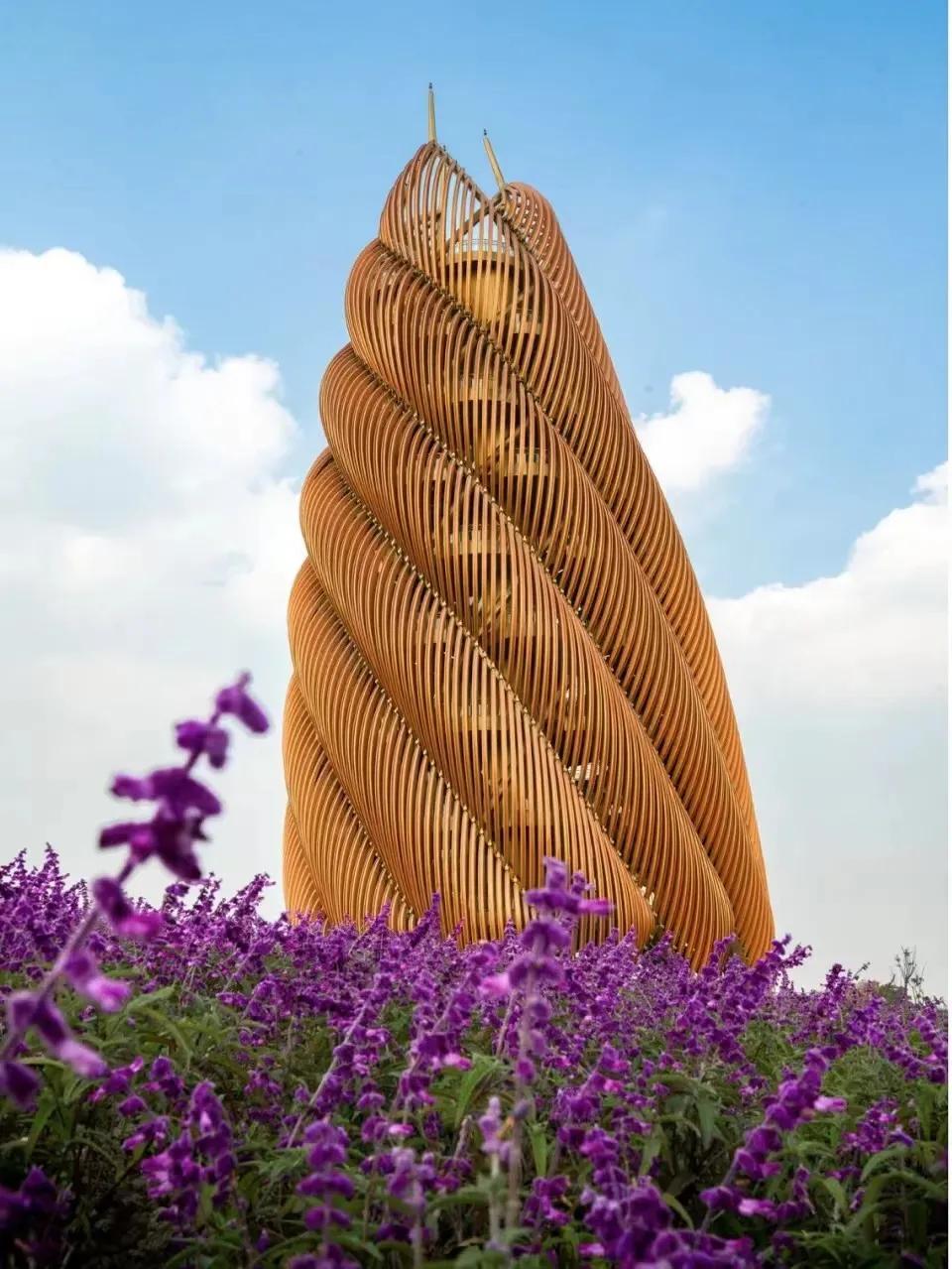 Shocked!Giant bamboo shoots over 60 meters tall in Chengdu - iMedia
