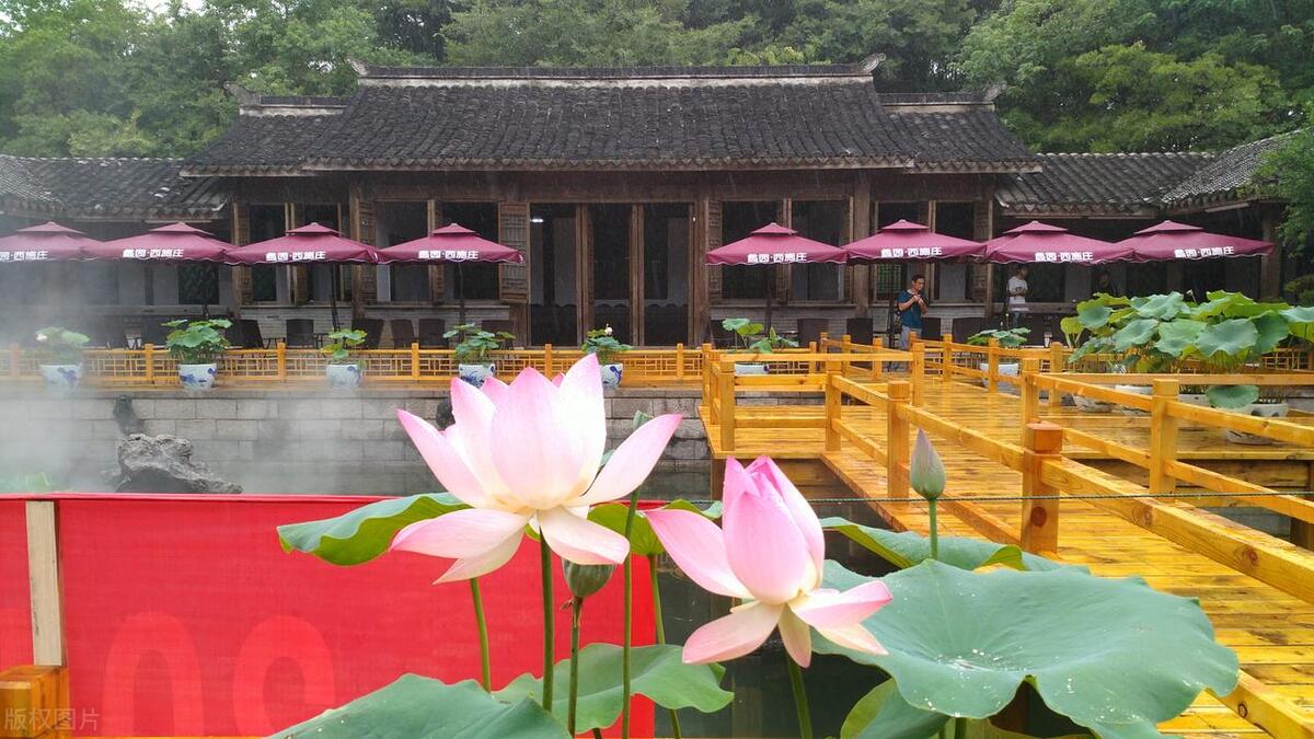 Why did the Northern Song Dynasty Neo-Confucian Cheng Yi and Cheng Hao ...