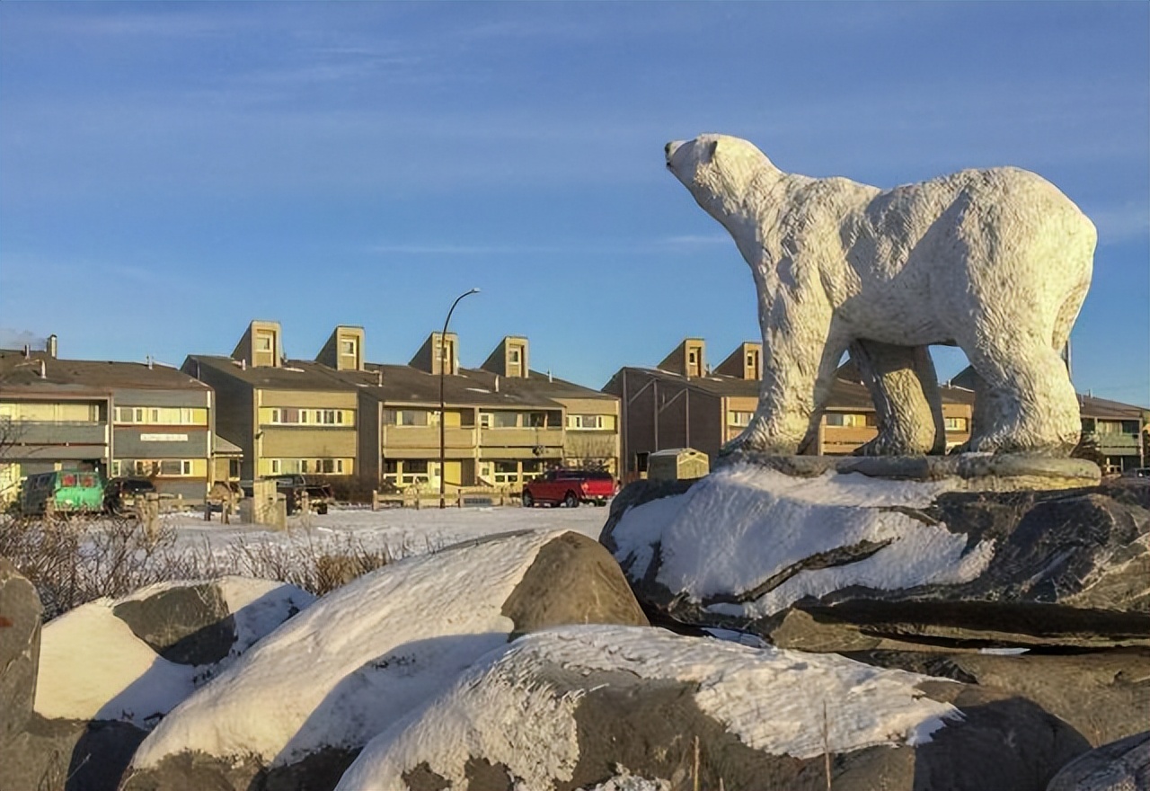 Canada's border town is home to the world's only polar bear prison ...
