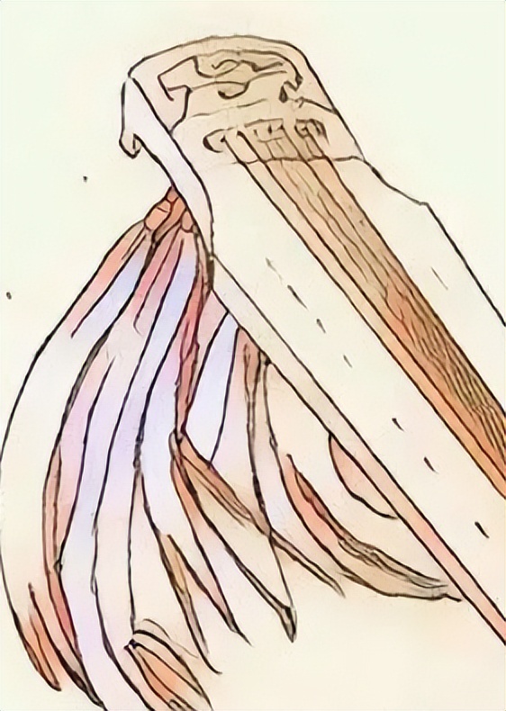 What are the structural characteristics of the ancient Babylonian lyre ...