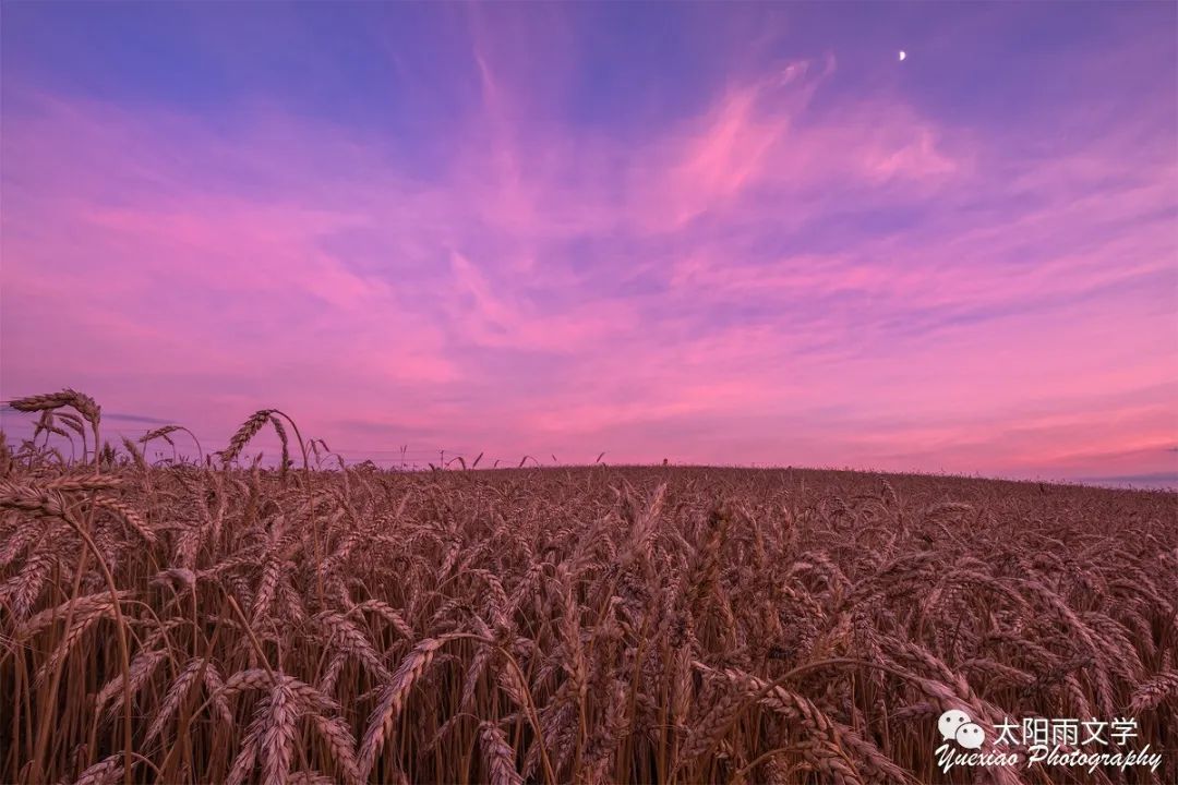 Meng Xiaoya: The moonlight falls in the fields (two songs) - iNEWS