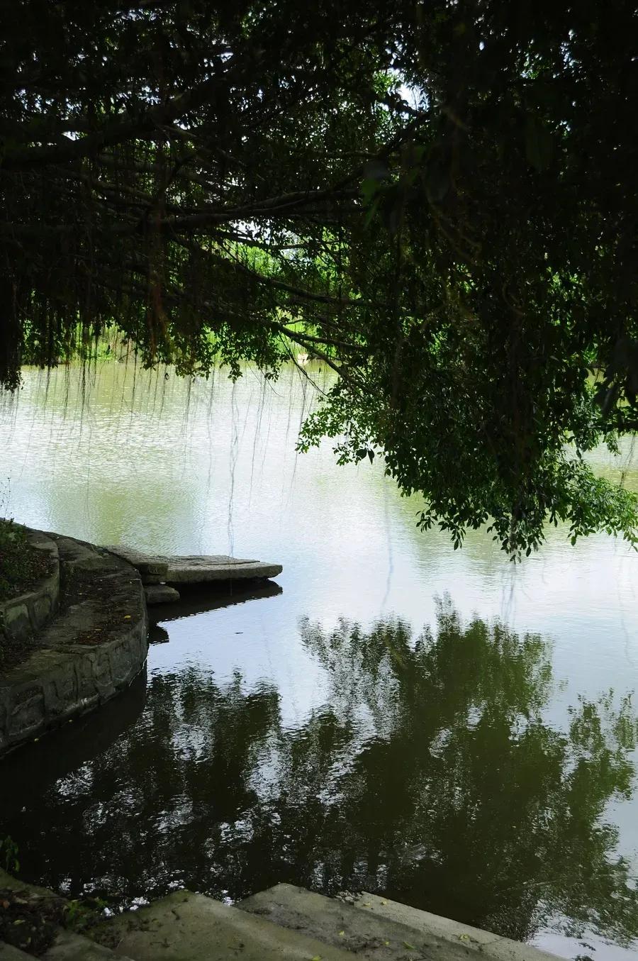 Dream Jiangnan - iNEWS