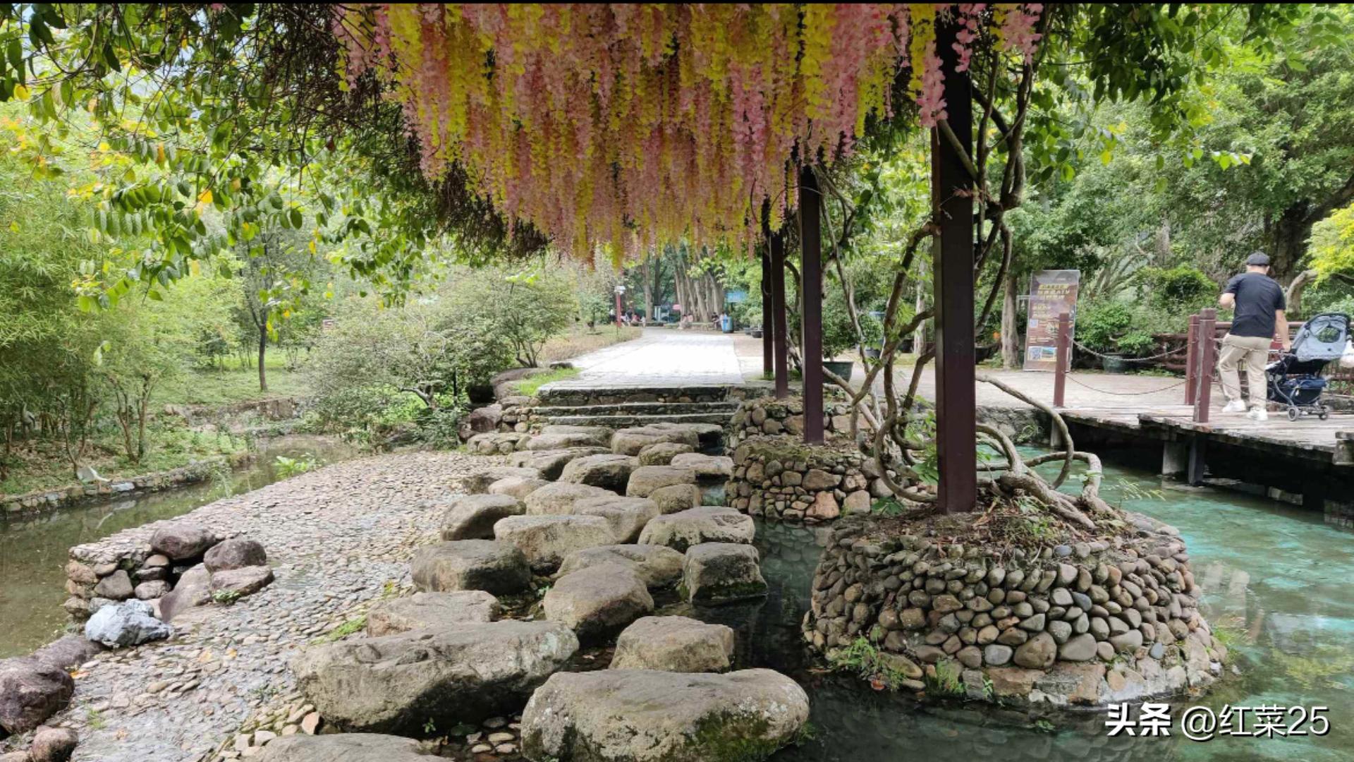 Guangzhou Zengcheng Baishuizhai Mountain Climbing and Waterfall Viewing ...