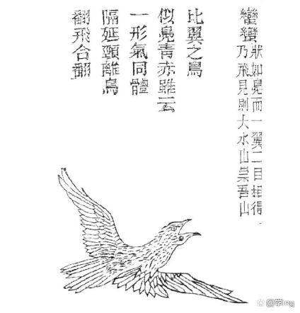 "The Strange Beast of Shan Hai Jing - Man Man" The Legend of Lovebird ...