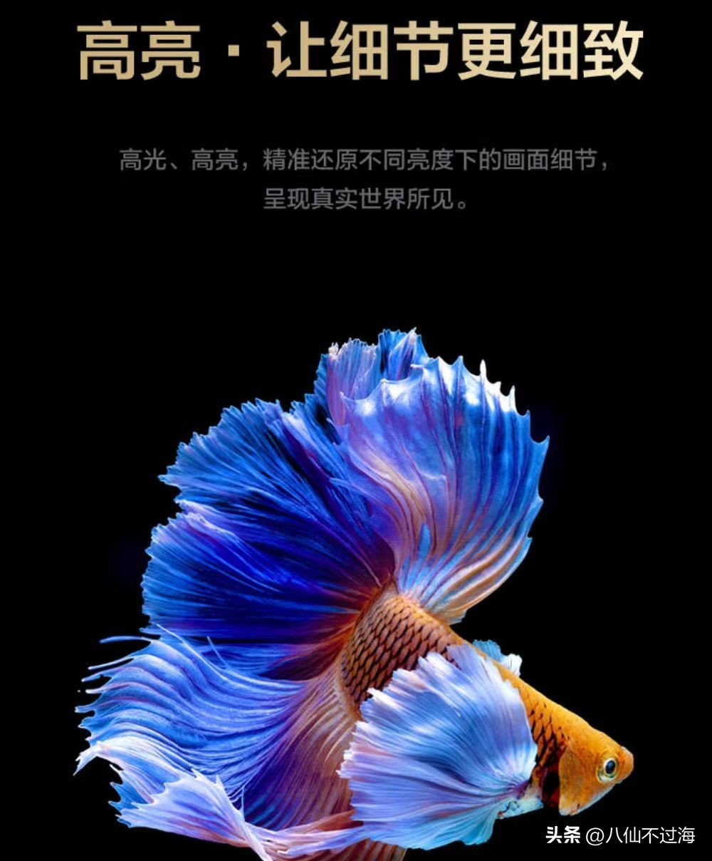 TCL electro-optical blue series will usher in new products, can T7G ...