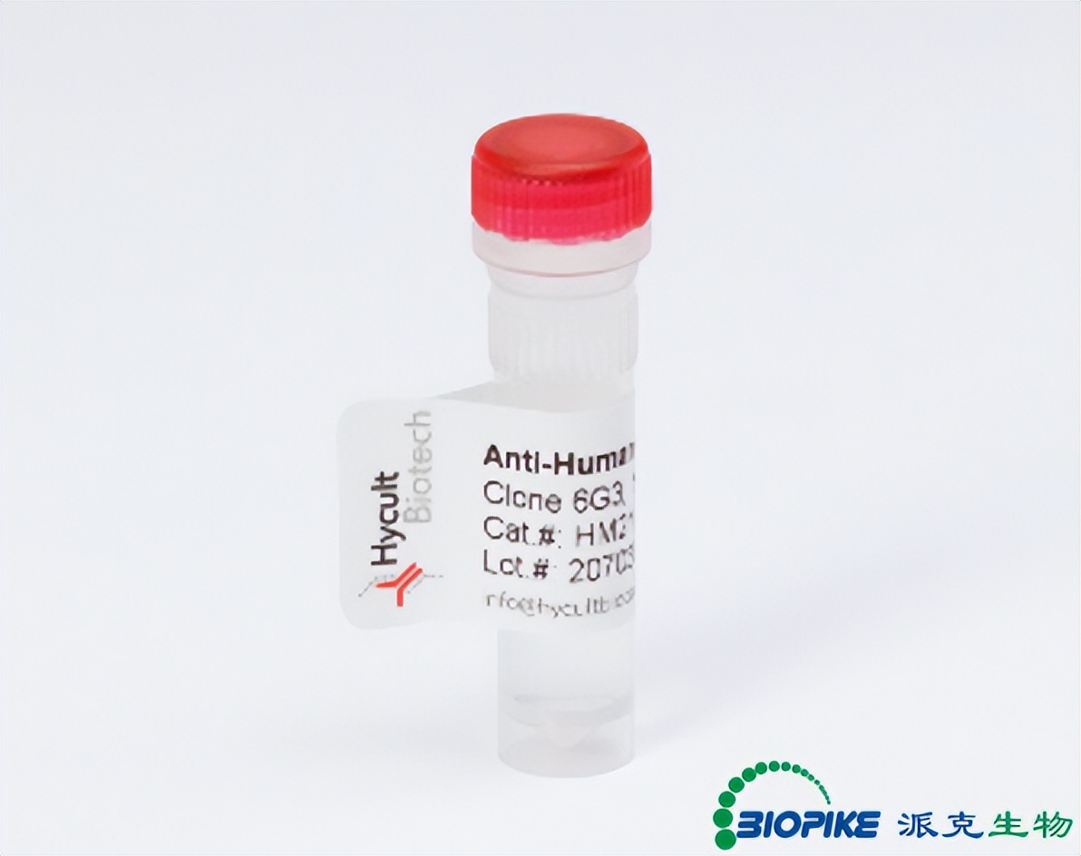 Human Complement C3c Recognition - Anti-Human C3c Monoclonal Antibody ...