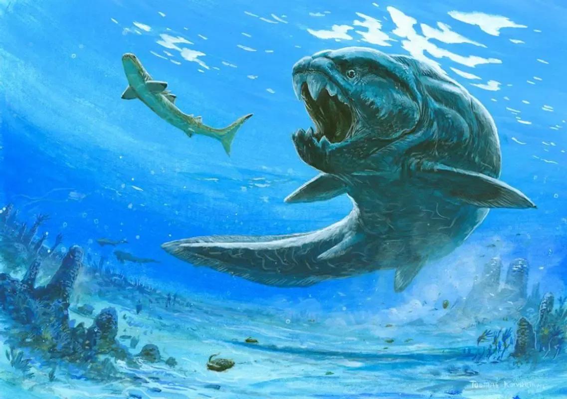 Ten species of creatures that ruled the earth in ancient times - iMedia