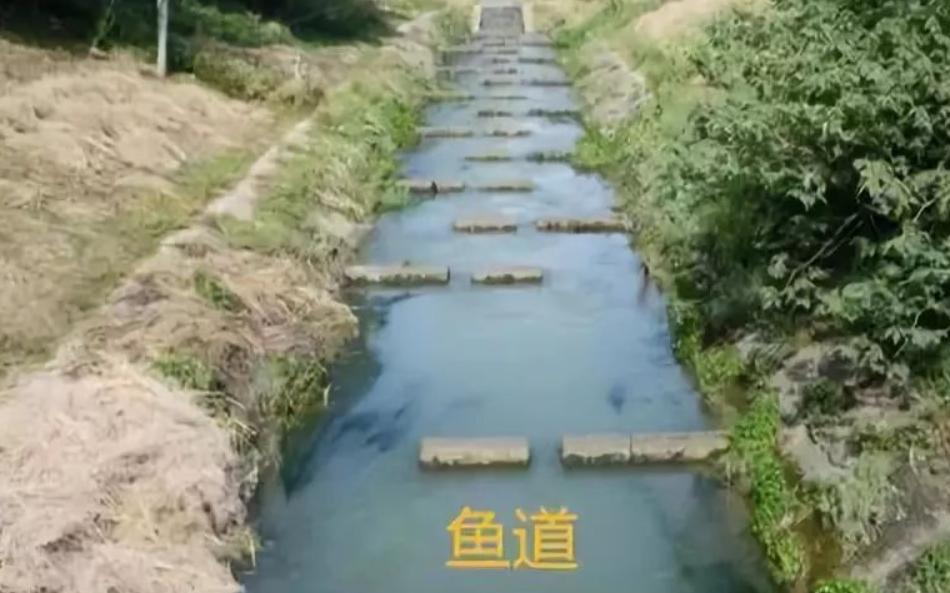 The new concept of fish migration and spawning, the "fishway" specially ...