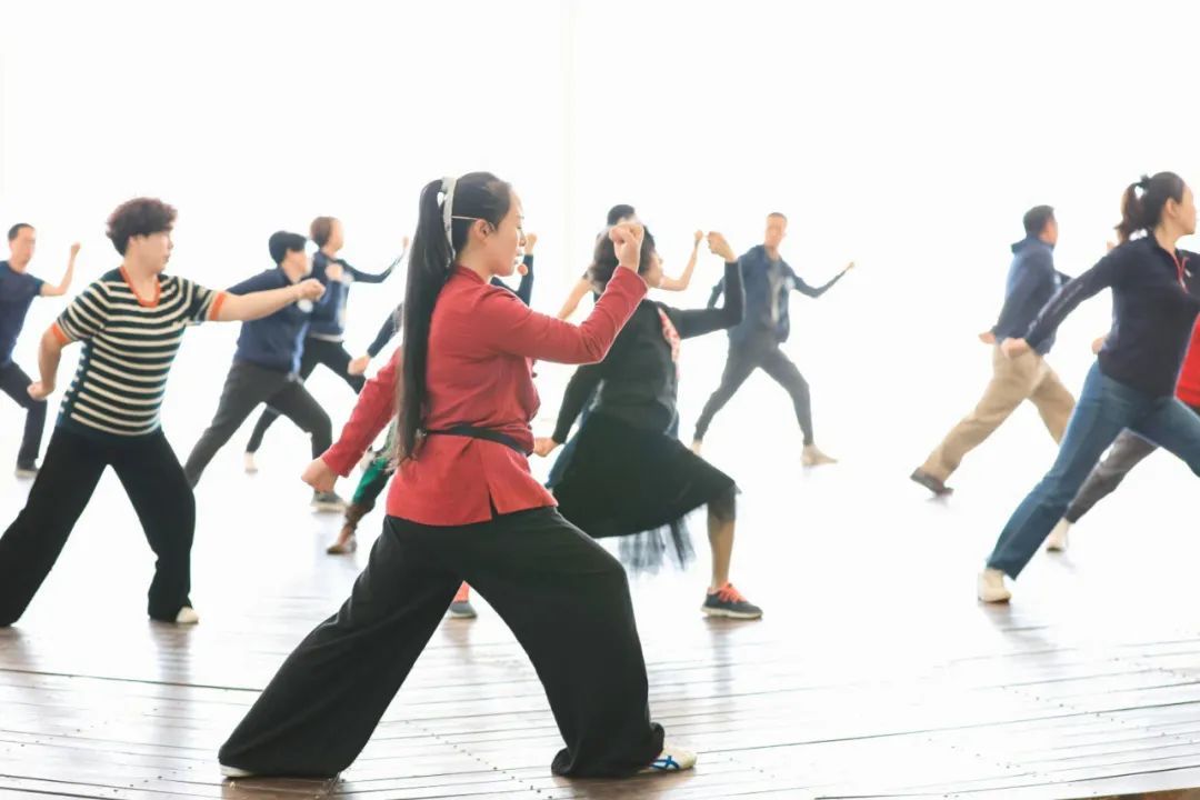 The twelve postures of the ancient Yijinjing, each posture has a unique ...