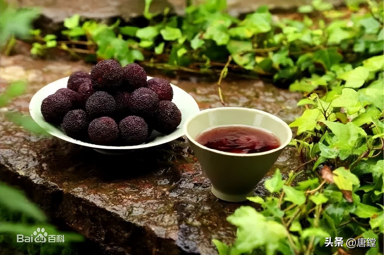 Cixi bayberry: the shining pearl of the hometown of Chinese bayberry ...