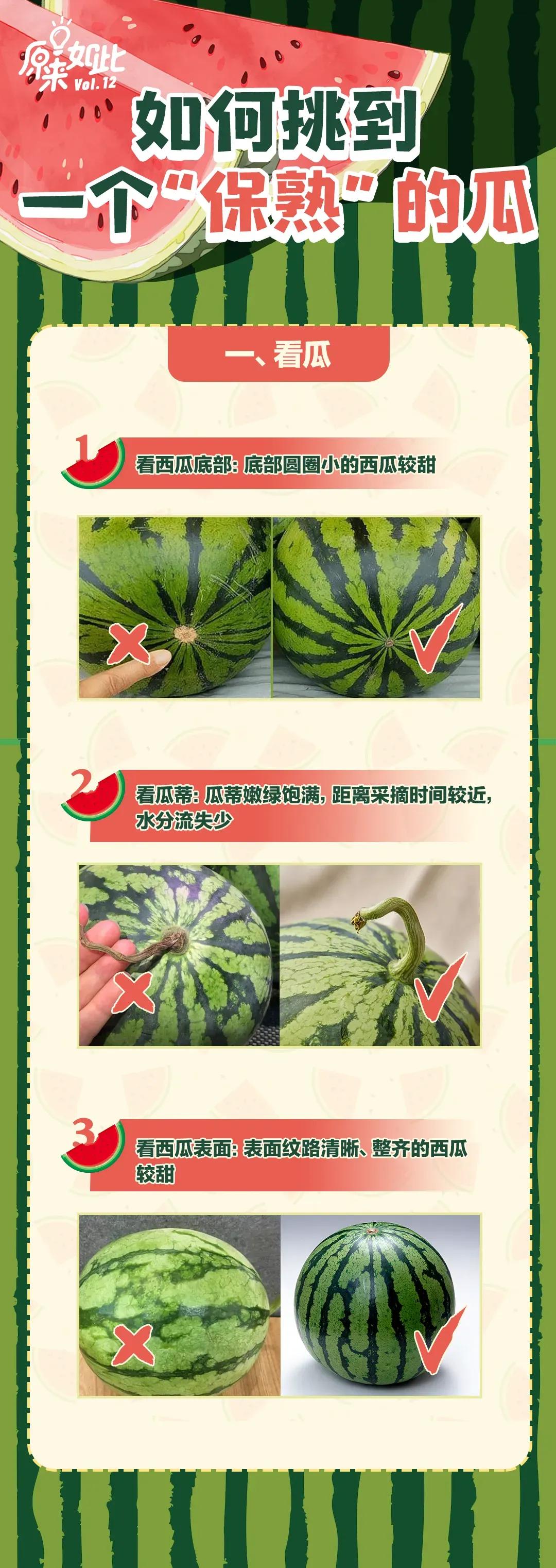 How to pick a decent melon? Check out the tips for picking melons here ...