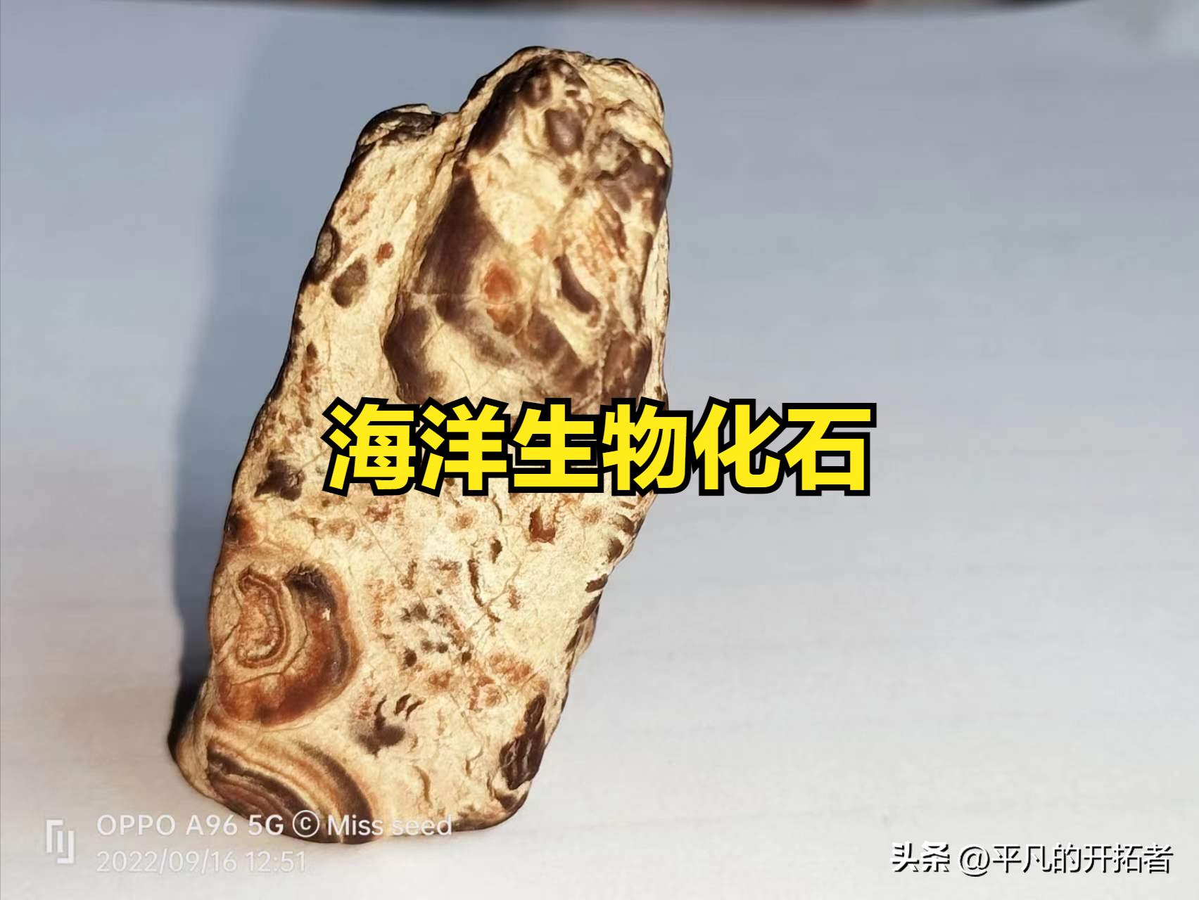 Prose - Stone Axe, Call of the Ancients - iNEWS