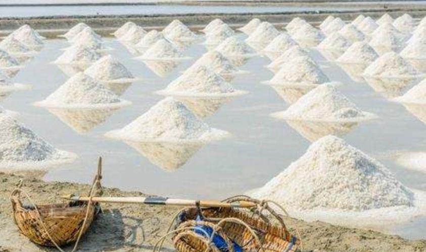 History of Salt: Changes in the Relationship Between Salt Industry and ...
