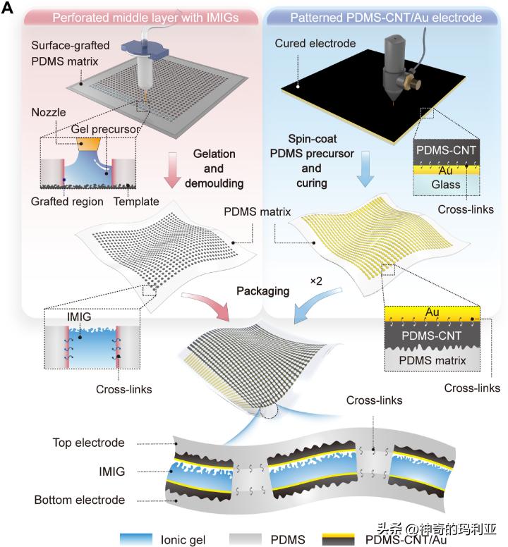 Robust, highly sensitive ionoelectronic skin with embedded sensing ...