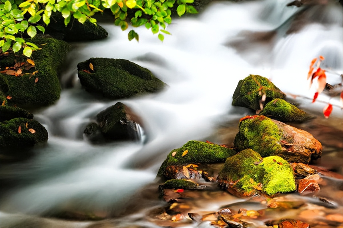 Yu Xiuhua: Goodbye Shennongjia (Poetry) - iNEWS