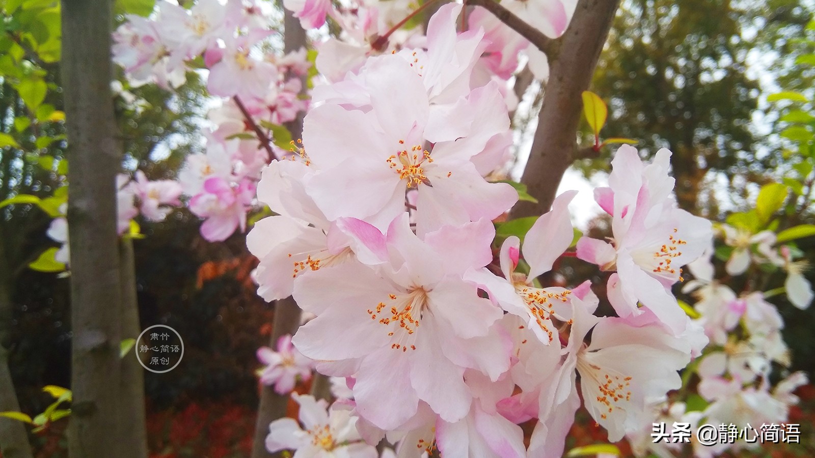 Creativity is uniqueness, and personalization is the key to success - iNEWS