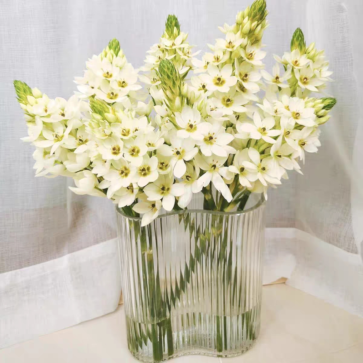 One eye for ten thousand years, low maintenance, high appearance, tiger ...