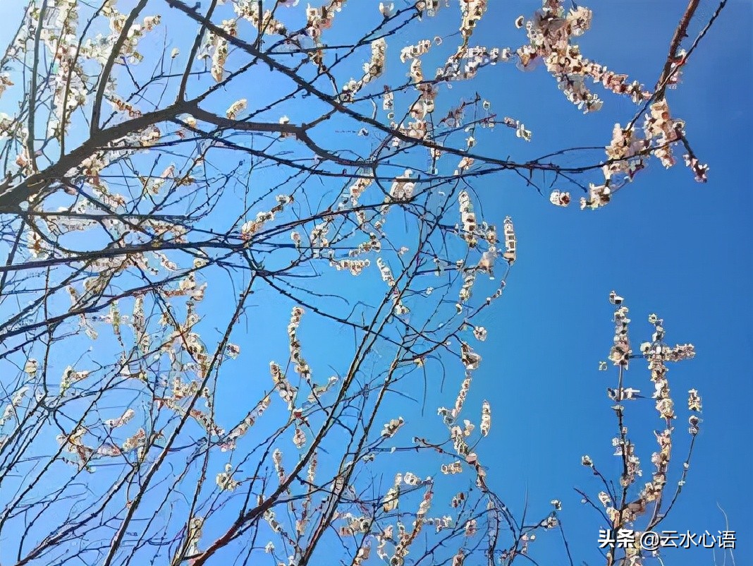 Yang Wanli captured the inspiration of the moment, and chanted two ...