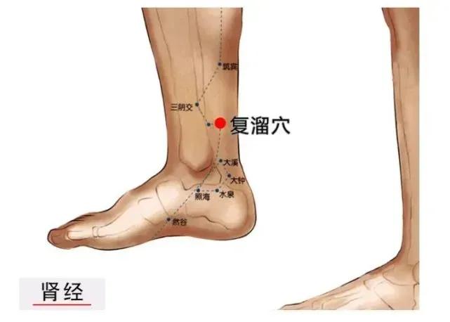 The magical Fuliu point, known as the antiperspirant point, is said by ...