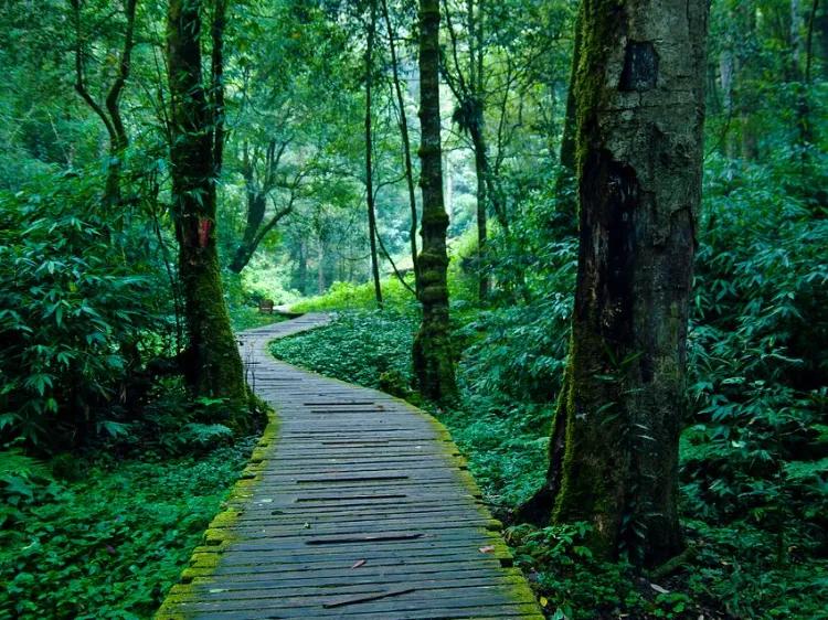 Twelve tourist attractions in Honghe Prefecture, Yunnan, to appreciate ...