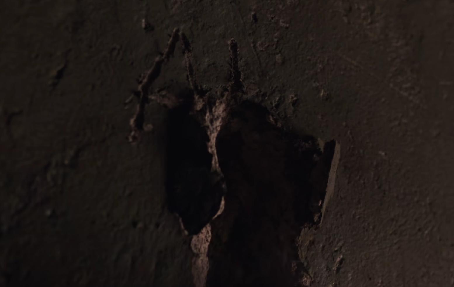 "The Shawshank Redemption" script reveals how long it took Andy to dig ...