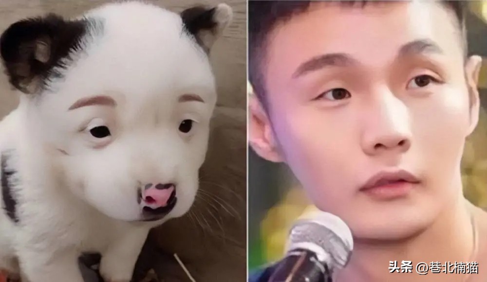 The 5 pairs of celebrities with highly similar looks make people ...