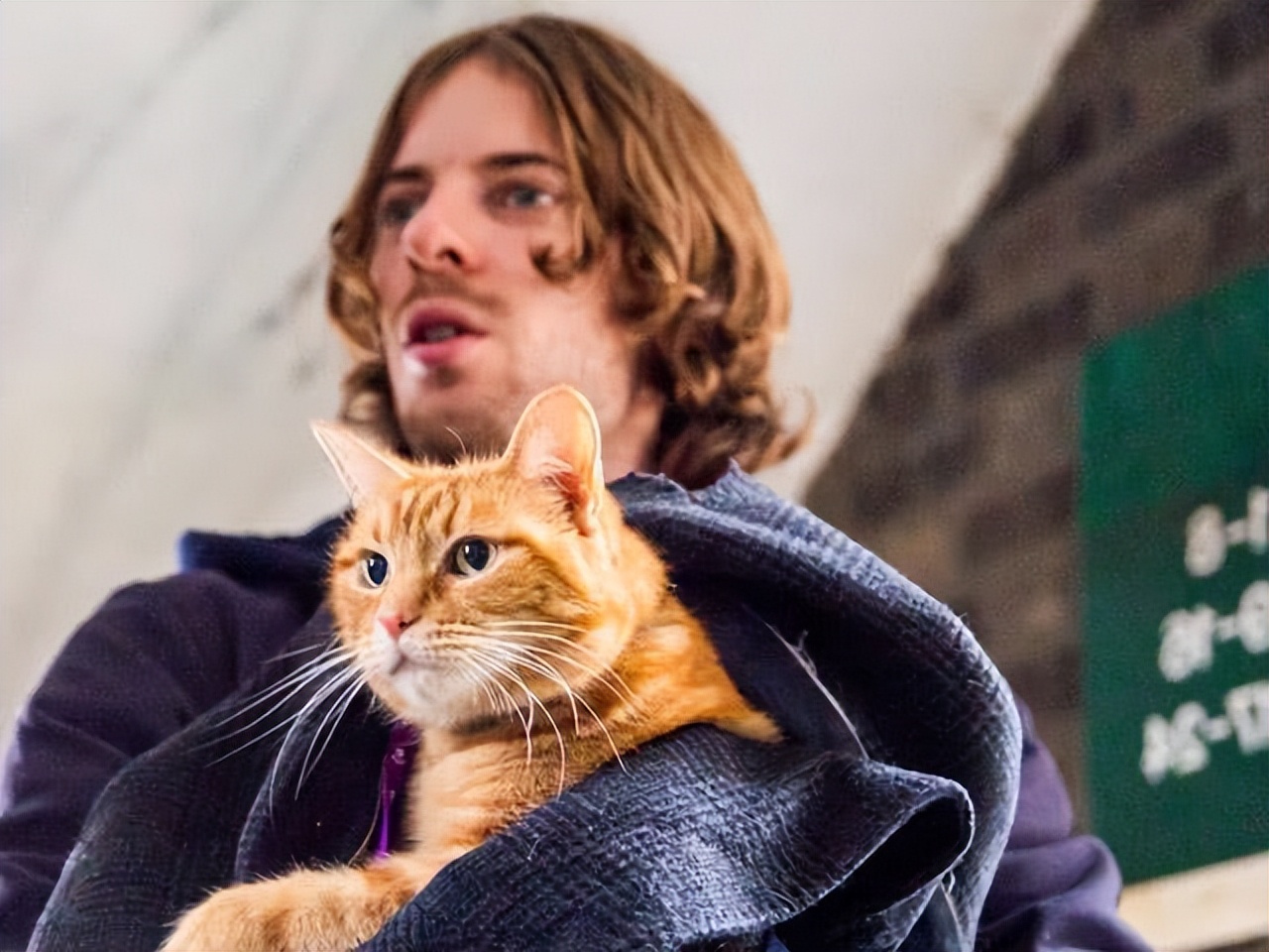 In the British film "Bob the Stray Cat", the use of lens, language and ...