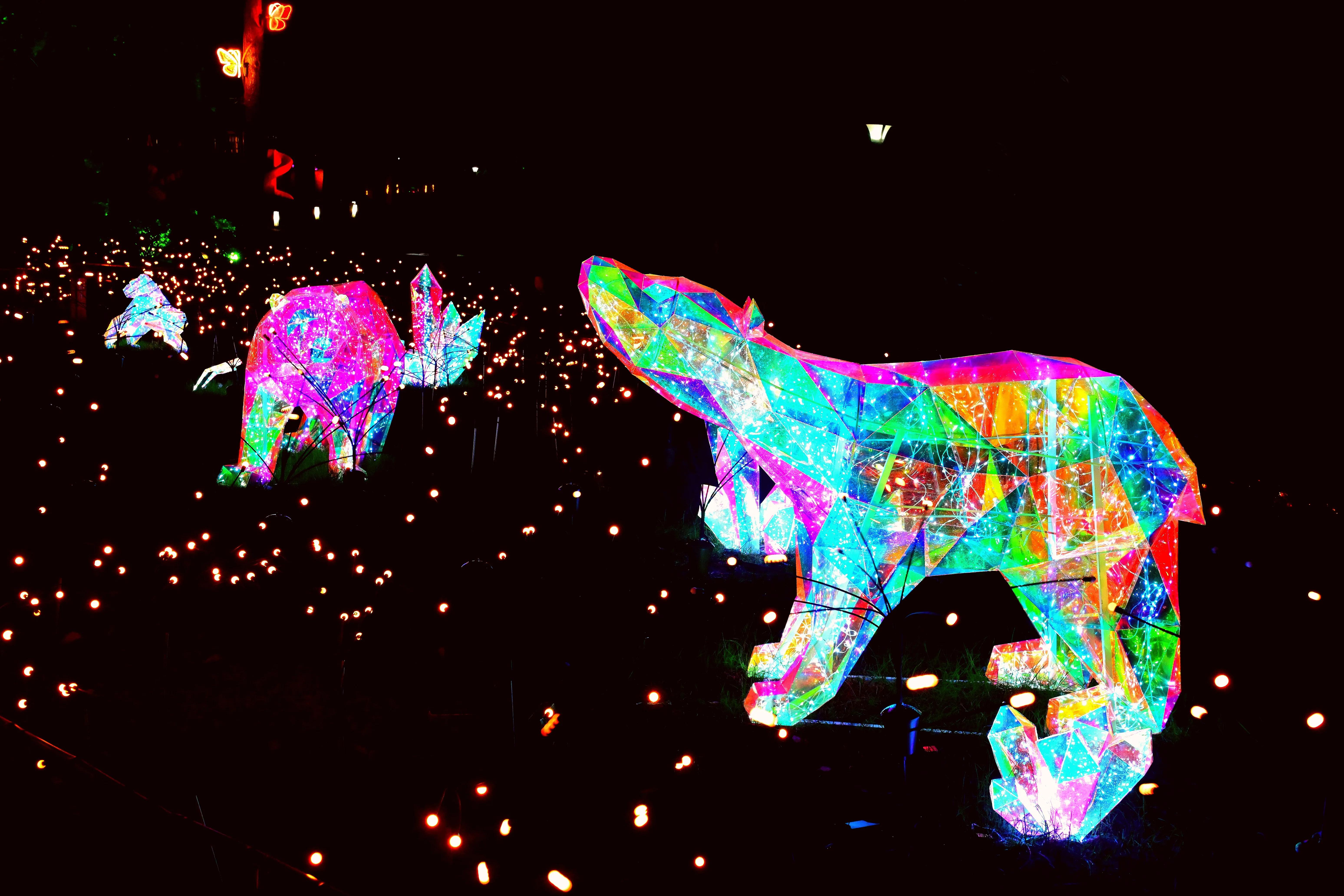 Wuxi Zoo: A Journey to Seek Light--Start the Summer Carnival Night - iNEWS