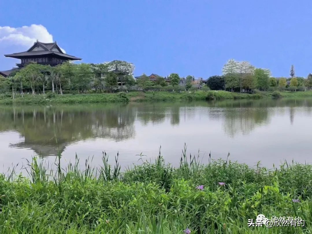 Li Zhihui: Listening to the Rain in Late Spring and Expressing His ...