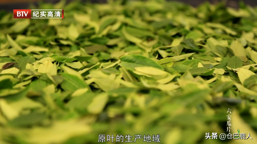 Tea, the story of one party's water and soil - iNEWS