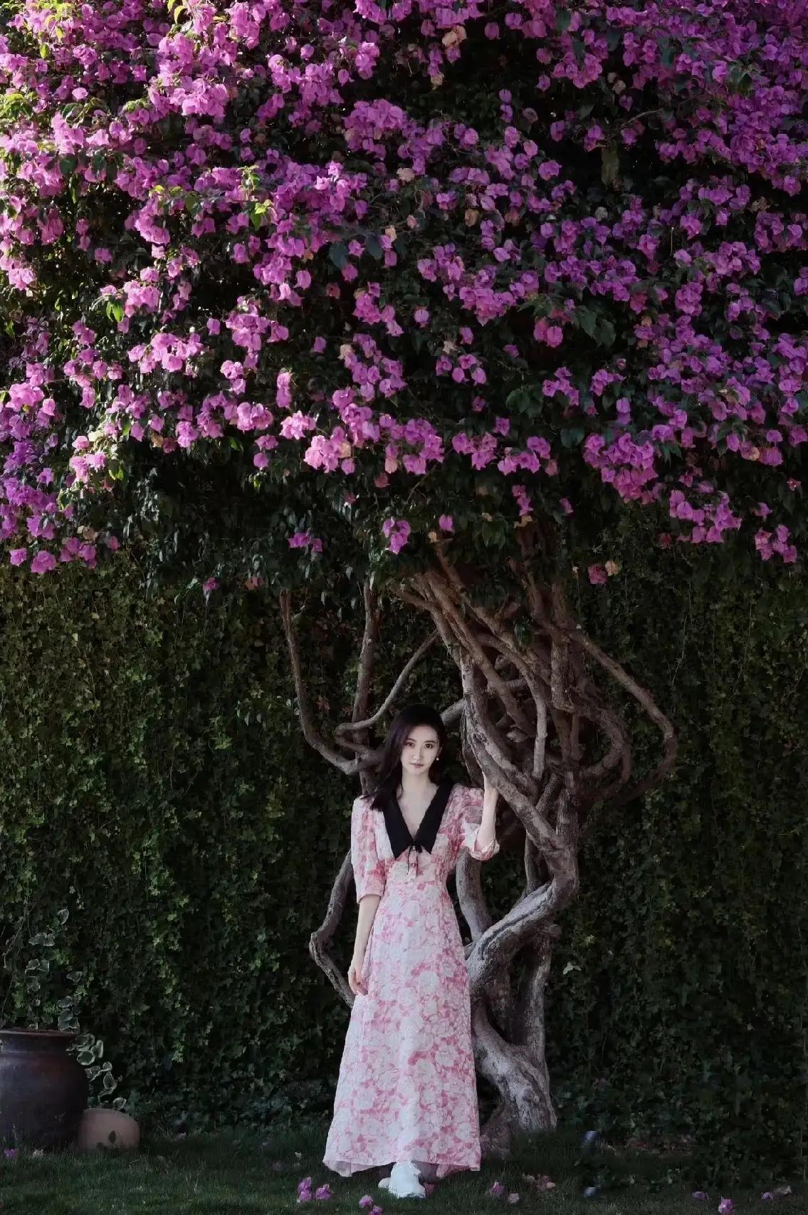 Seven Absolutes · Pure Jade Girl - iNEWS