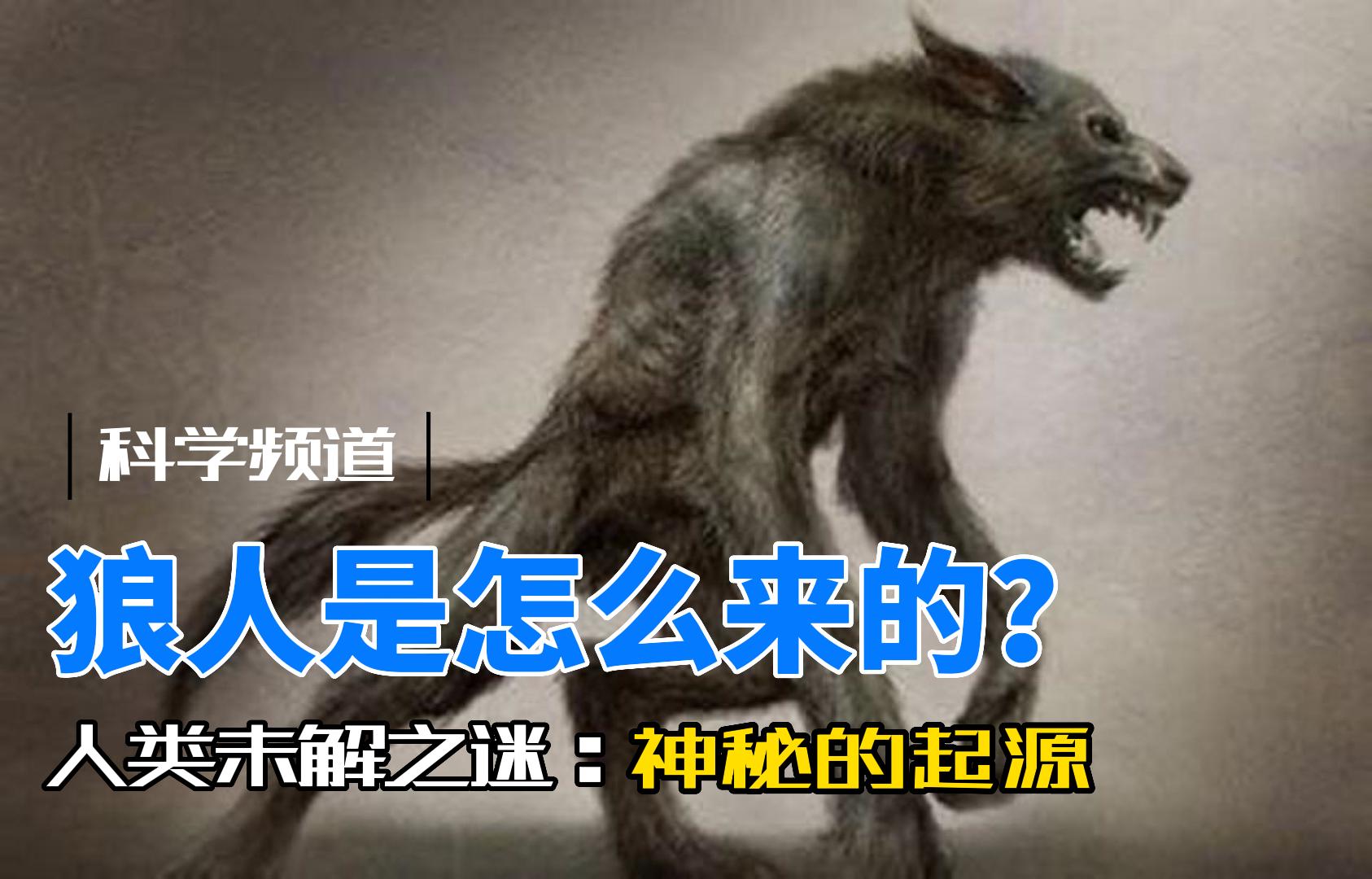 Popular science: How did werewolves come from? Mysterious Origins to ...