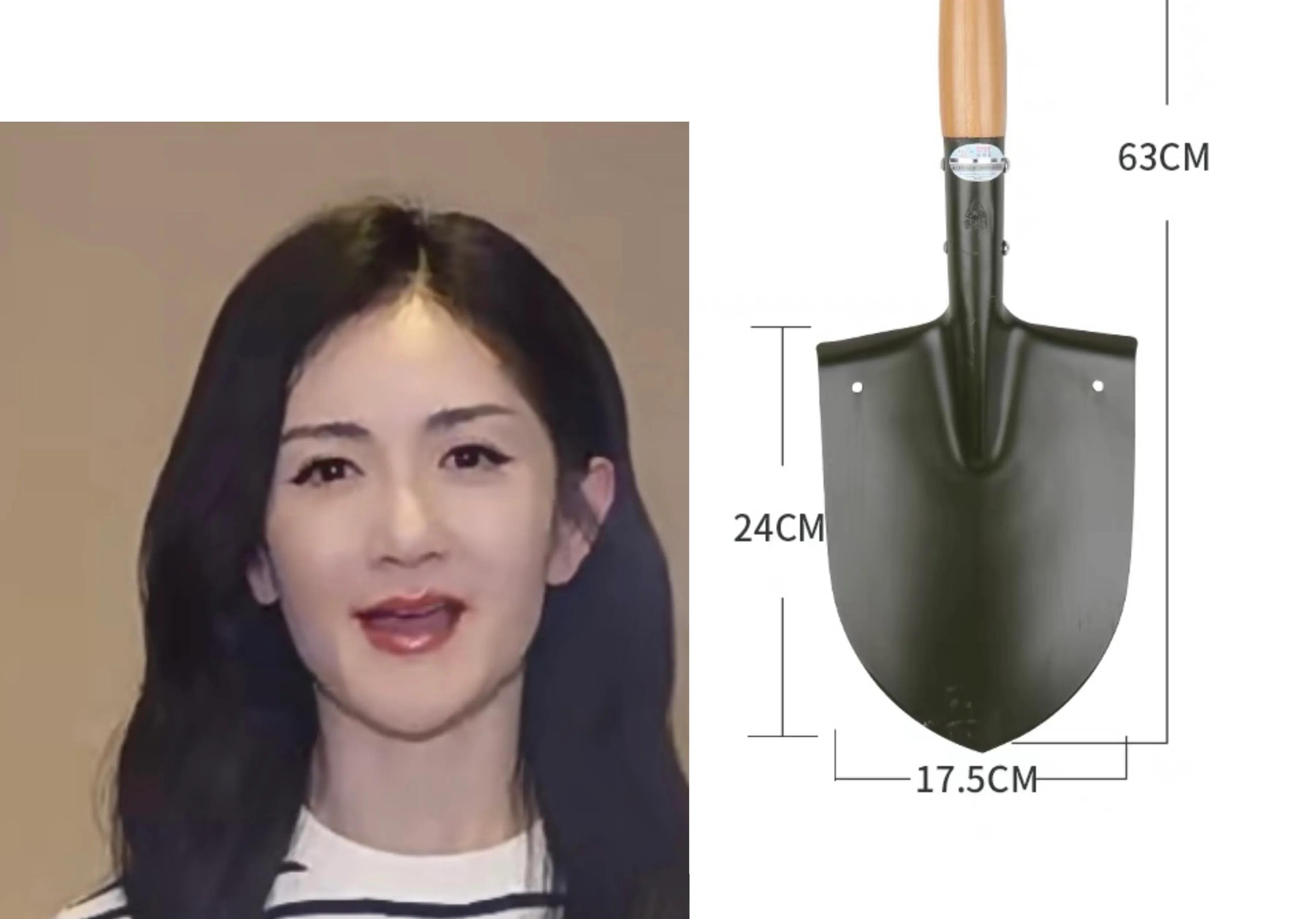 Xie Na and Zhang Jie, the "Runtu couple", have also started plastic ...