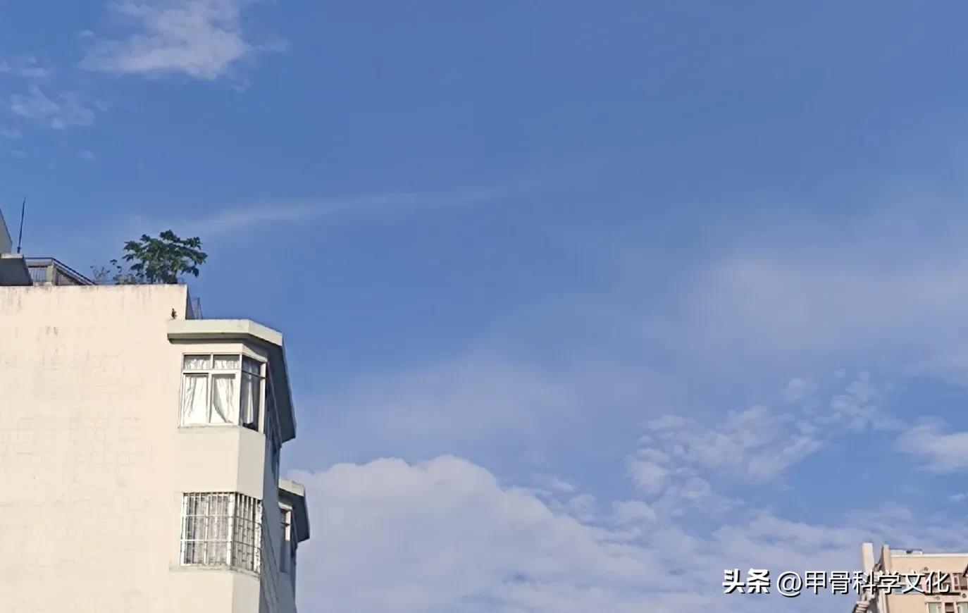 [Oracle Bone Culture] Heart Sutra. Colorless in the Air - iNEWS