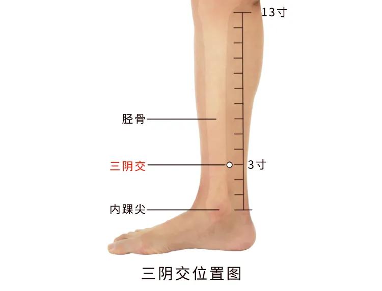 Sanyinjiao acupoint, the key acupoint for human health care - iNEWS