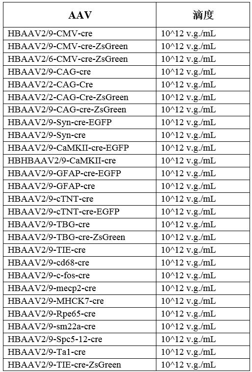 Application guide of Cre-loxP recombinase system - iNEWS