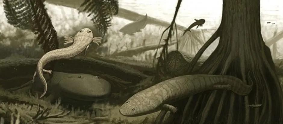 There were originally no people on the earth, so how were the first ...