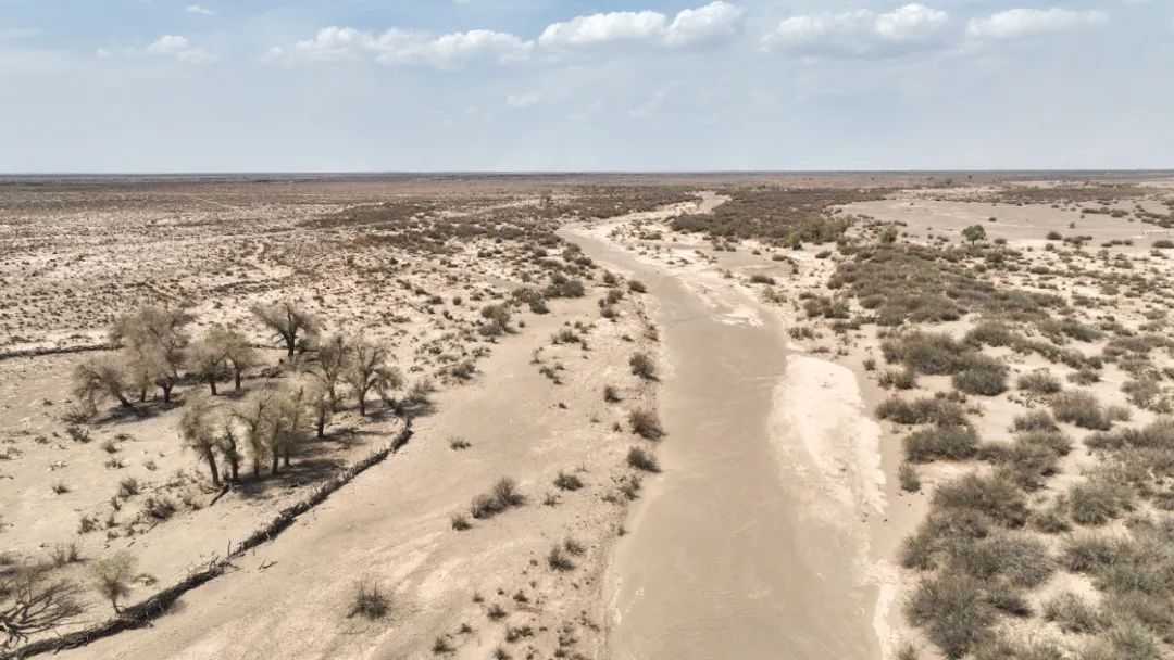 The lower reaches of the Heihe River face the risk of ecological ...