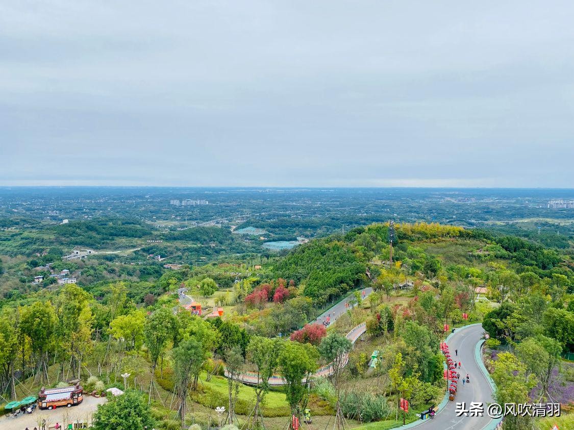 The largest forest park in Chengdu, equivalent to 356 Xinglong Lakes ...