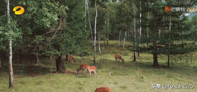 The recording location of the third season of "Dear Inn", hurry up to ...