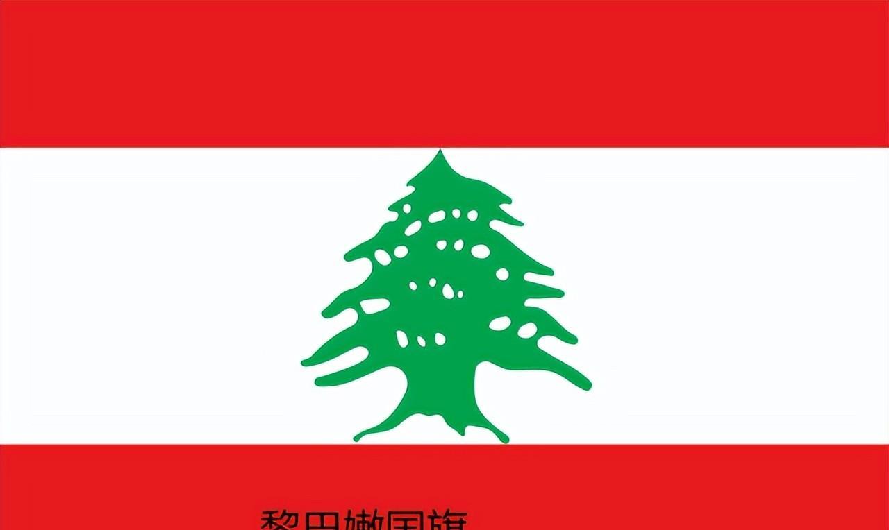 Why are the flags of the Arab world red, black, green and white? - iMedia