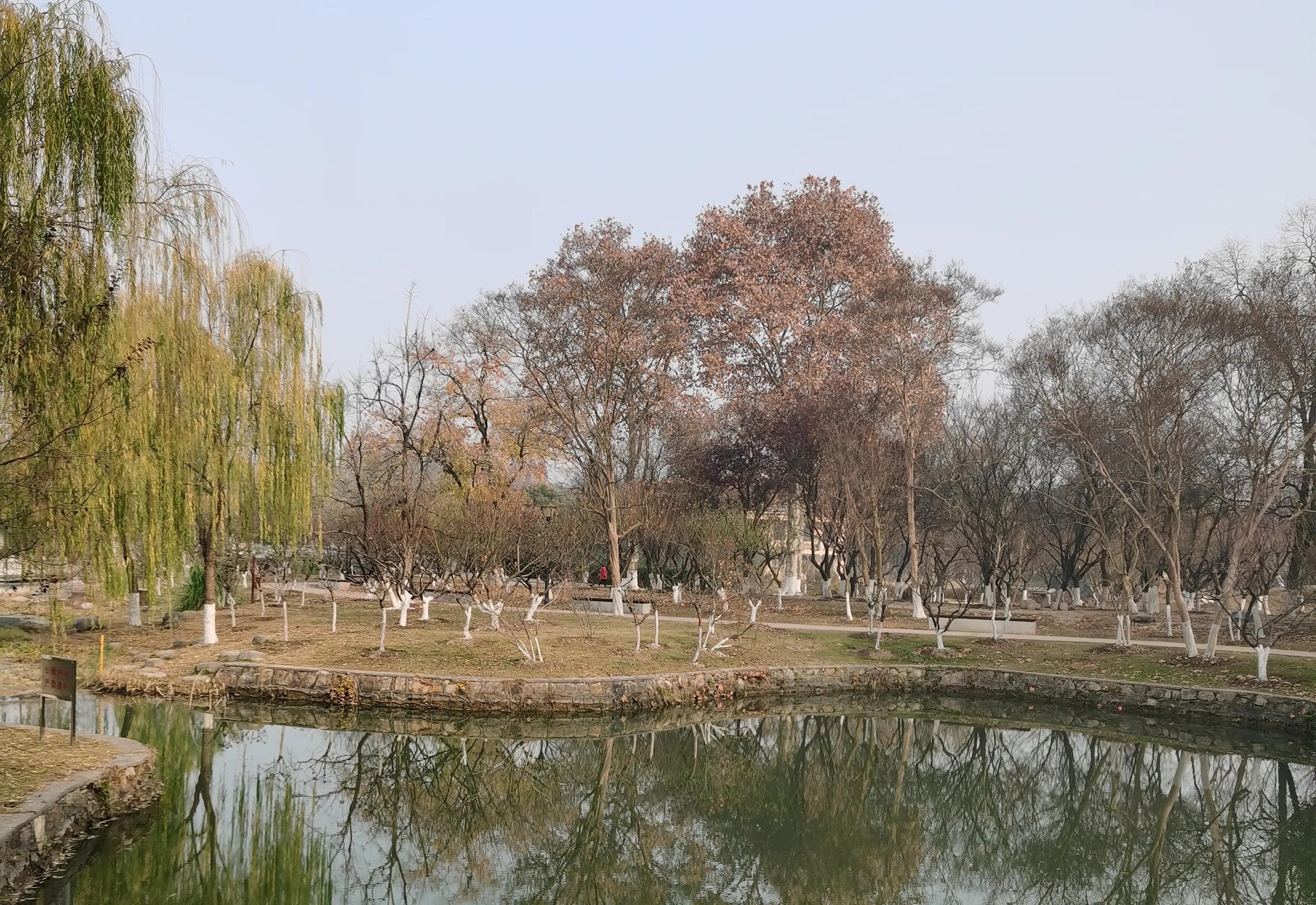 A song outside Qilu "Wing of Winter Solstice" - iNEWS