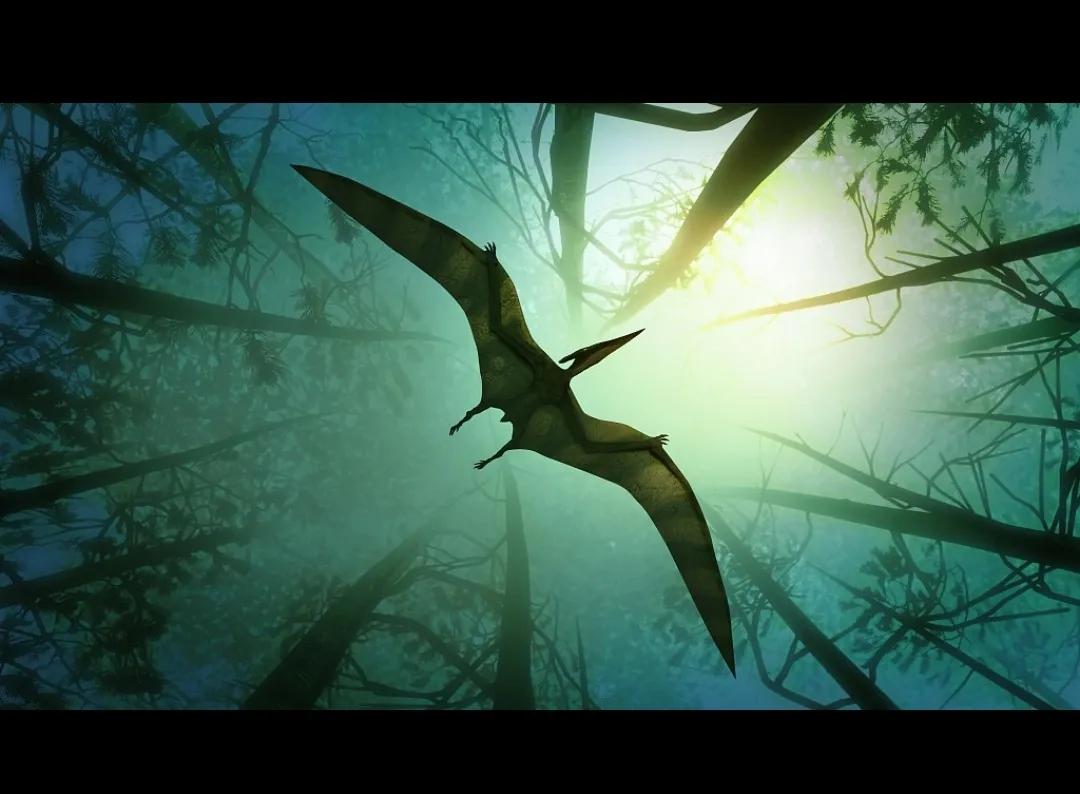Chinese scientists reveal evolutionary history of pterosaurs - iNEWS