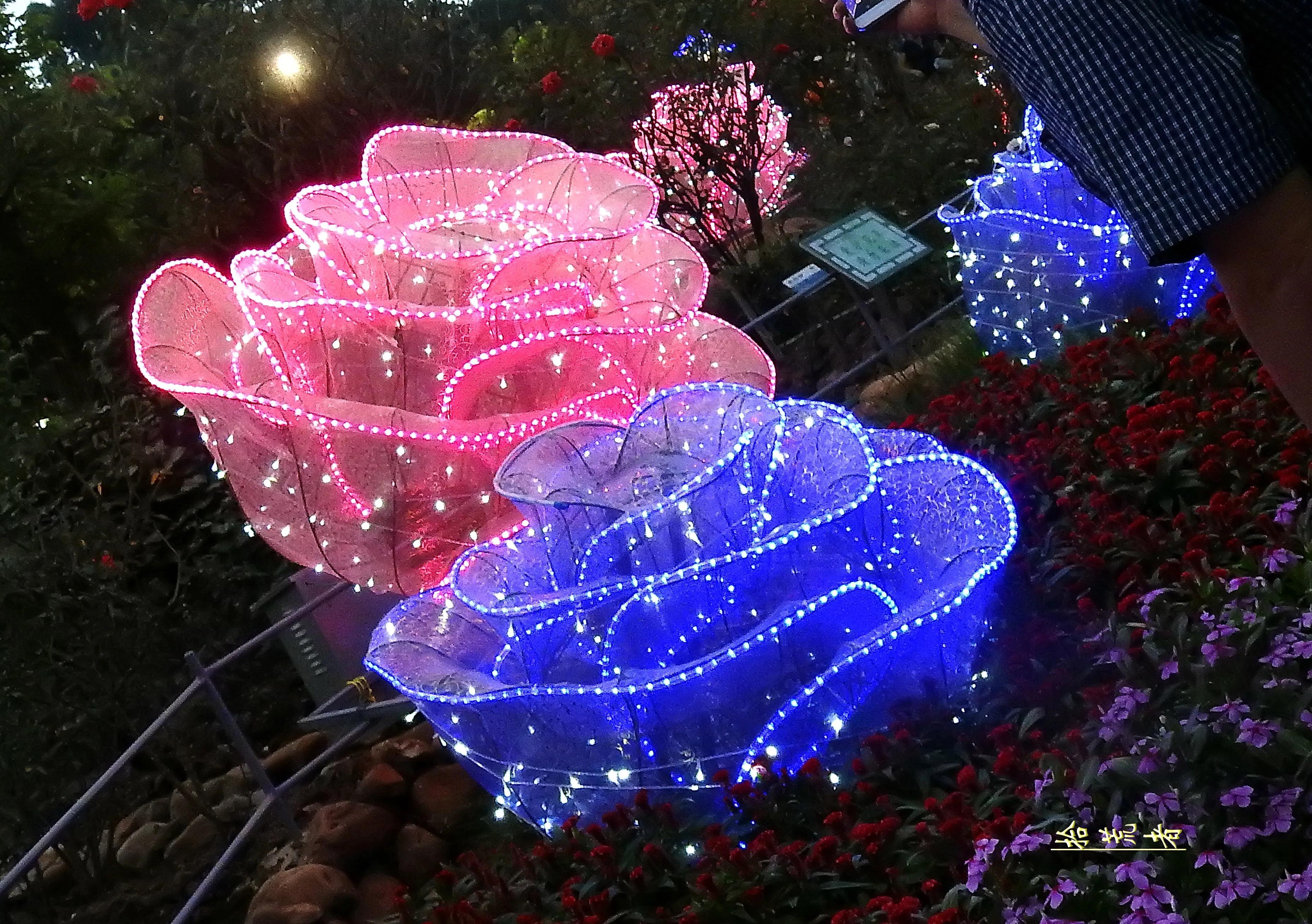 The Grand Lighting Craft Exhibition of the Festival (1) - iNEWS